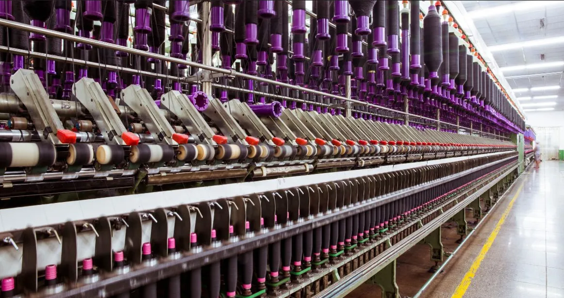 Termite Control in Textile Mills: Effective Strategies to Protect ...