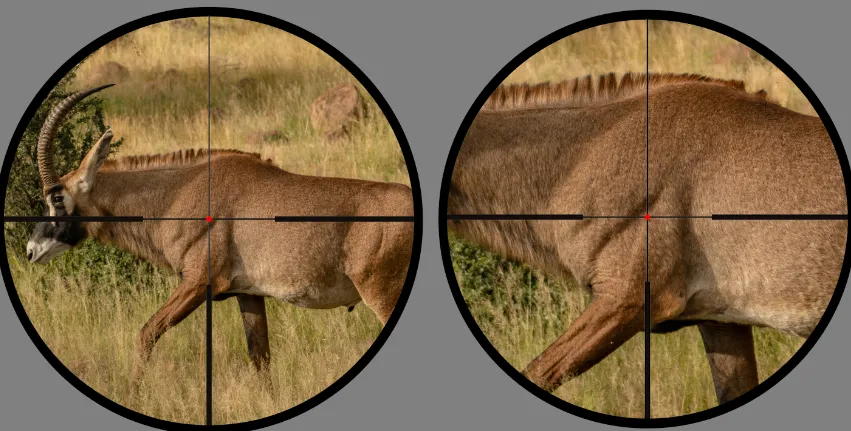 FFP vs. SFP: Practical Comparison in Tactical Shooting and Competition ...